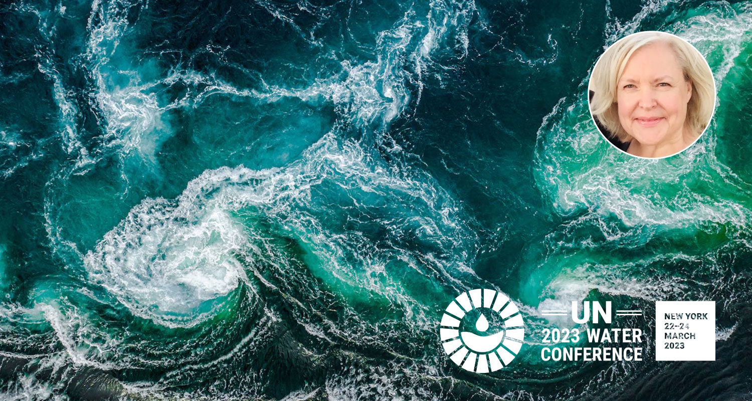 World Water Week is the next meeting place for water action