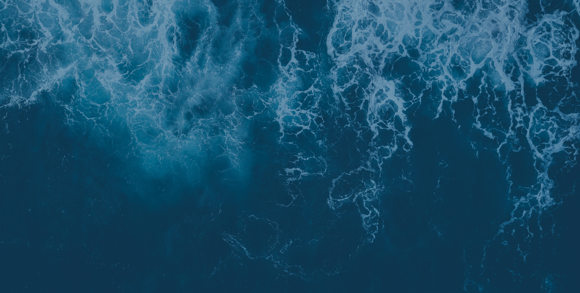 Online and in Stockholm, Sweden | 24-28 August 2025